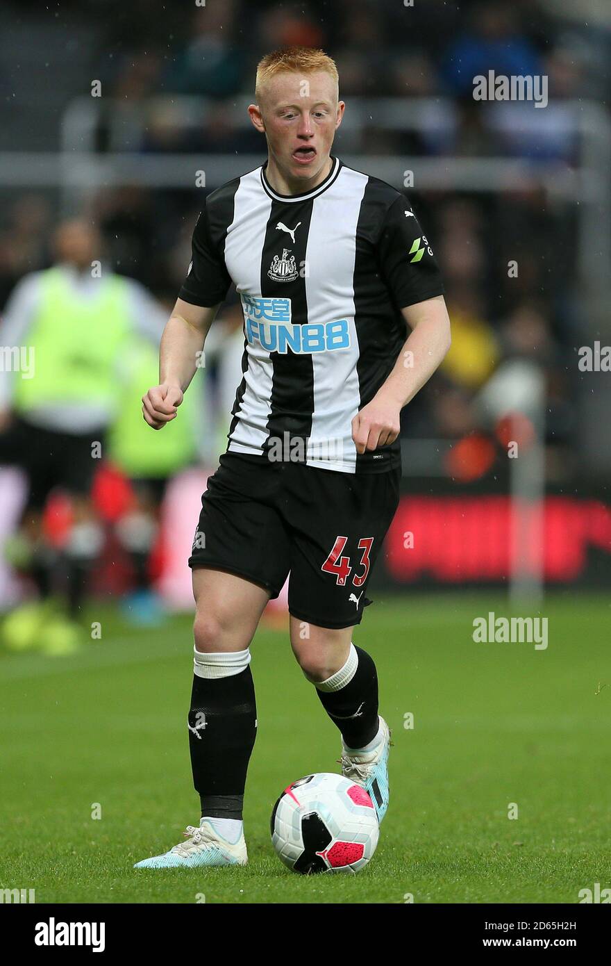 Newcastle United's Matthew Longstaff Stock Photo - Alamy
