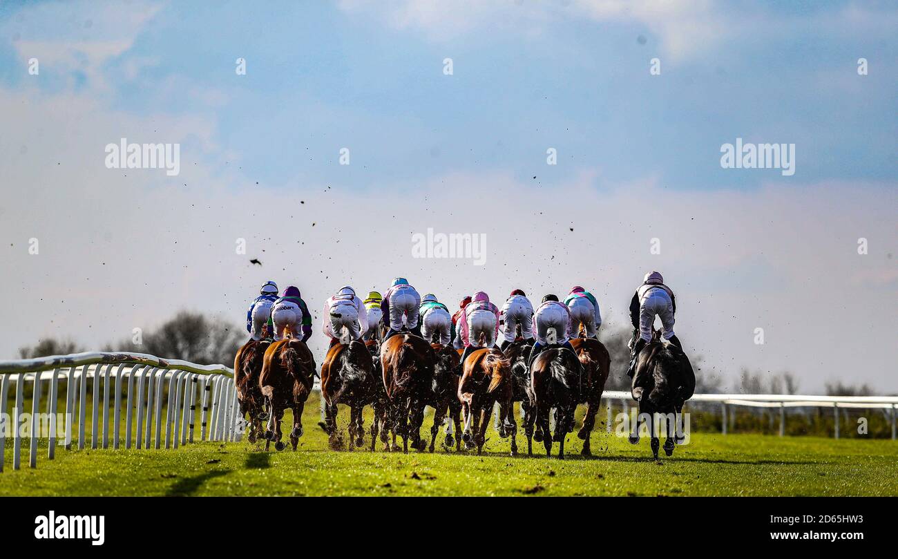 British stallion studs ebf beckford stakes bath racecourse hi-res stock ...