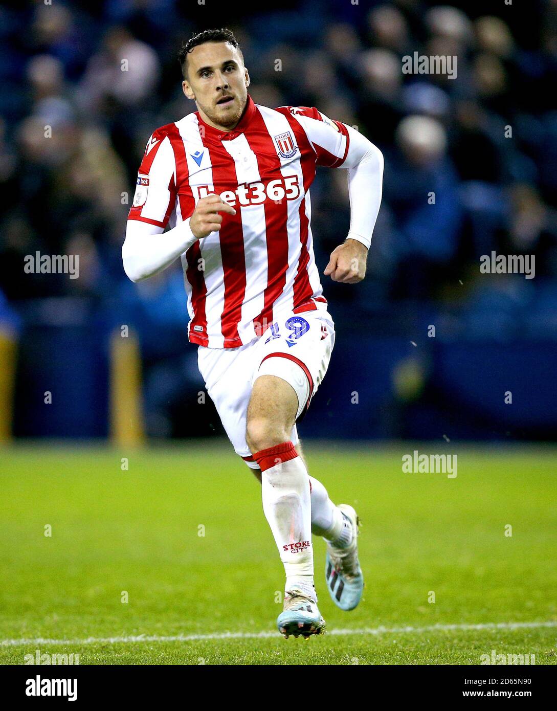 Stoke City's Lee Gregory in action Stock Photo - Alamy