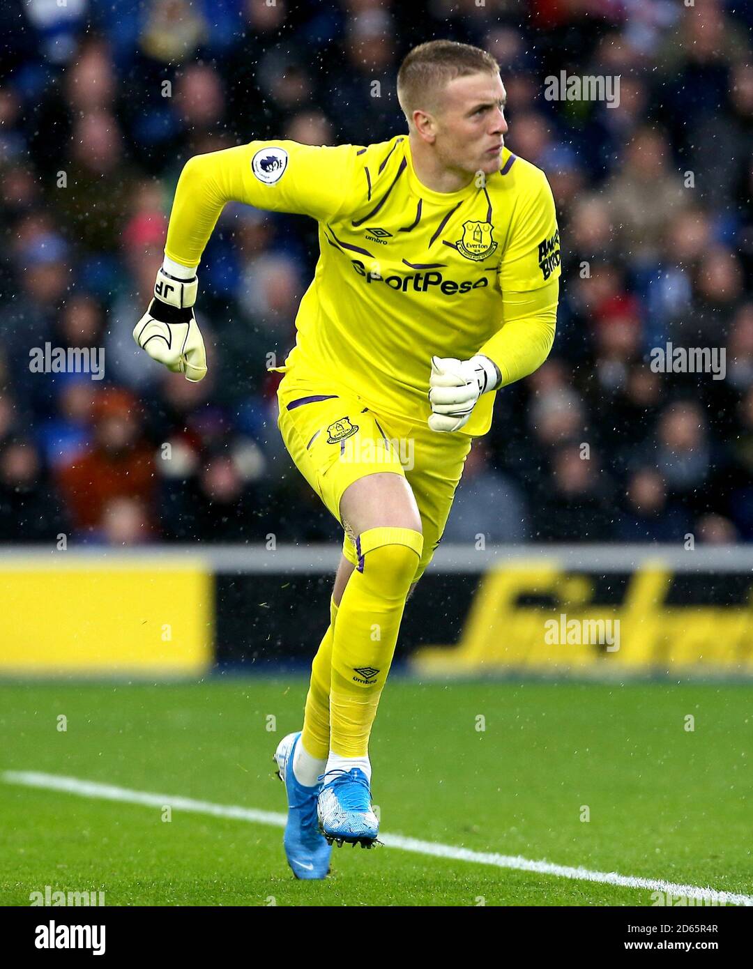 Everton goalkeeper Jordan Pickford in action Stock Photo - Alamy