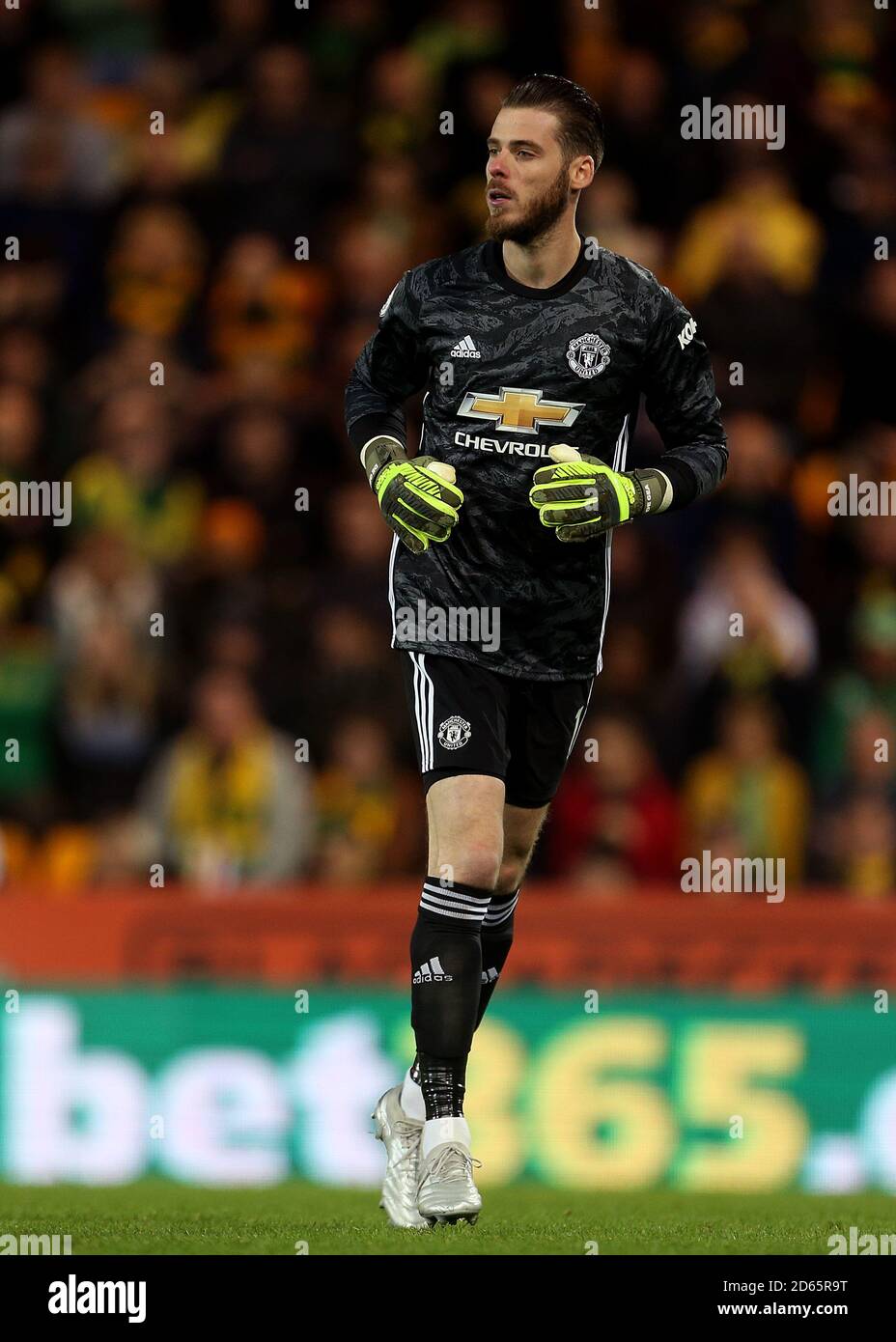 Manchester United goalkeeper David de Gea in action Stock Photo - Alamy