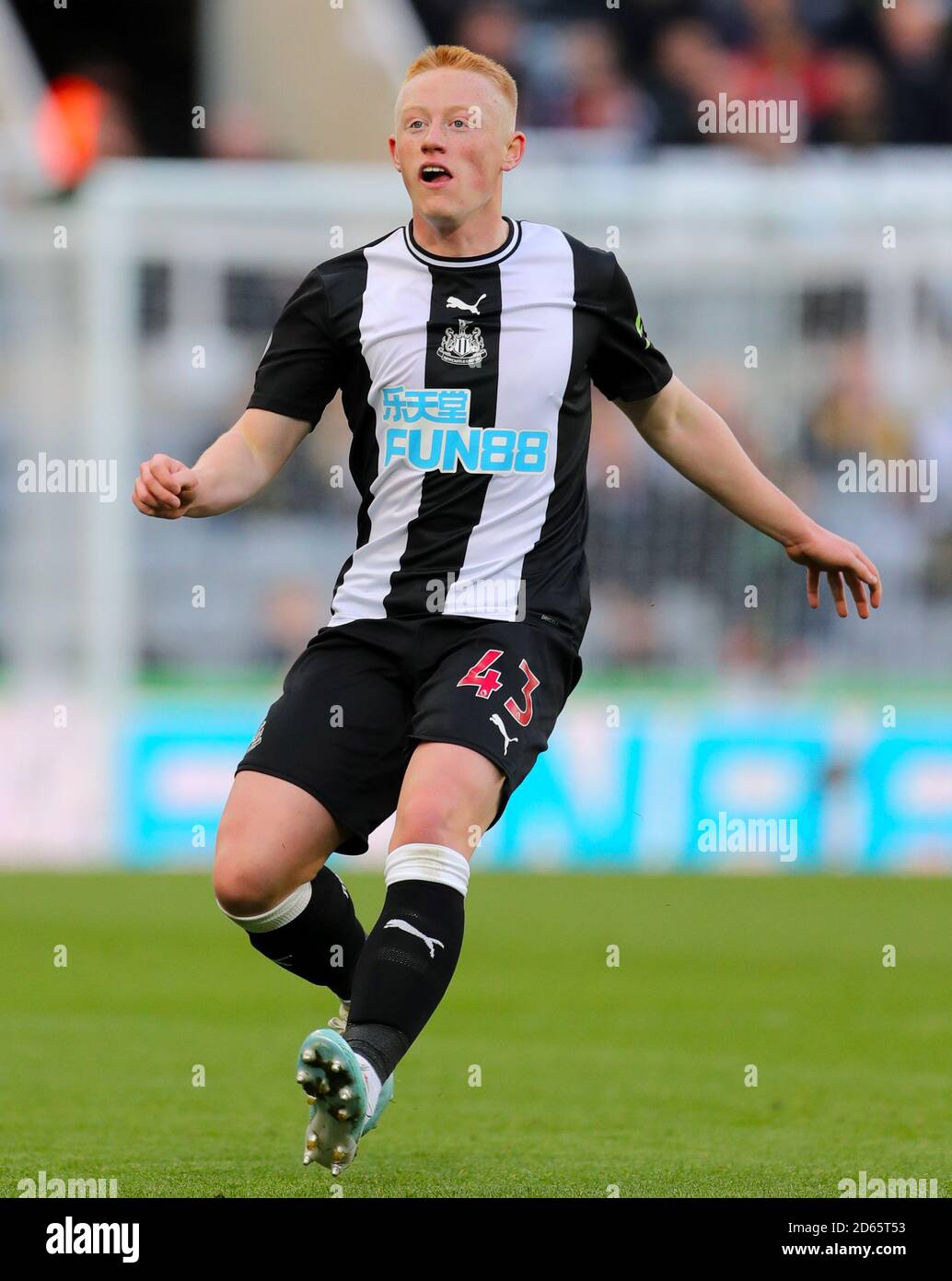Newcastle United's Matthew Longstaff Stock Photo - Alamy