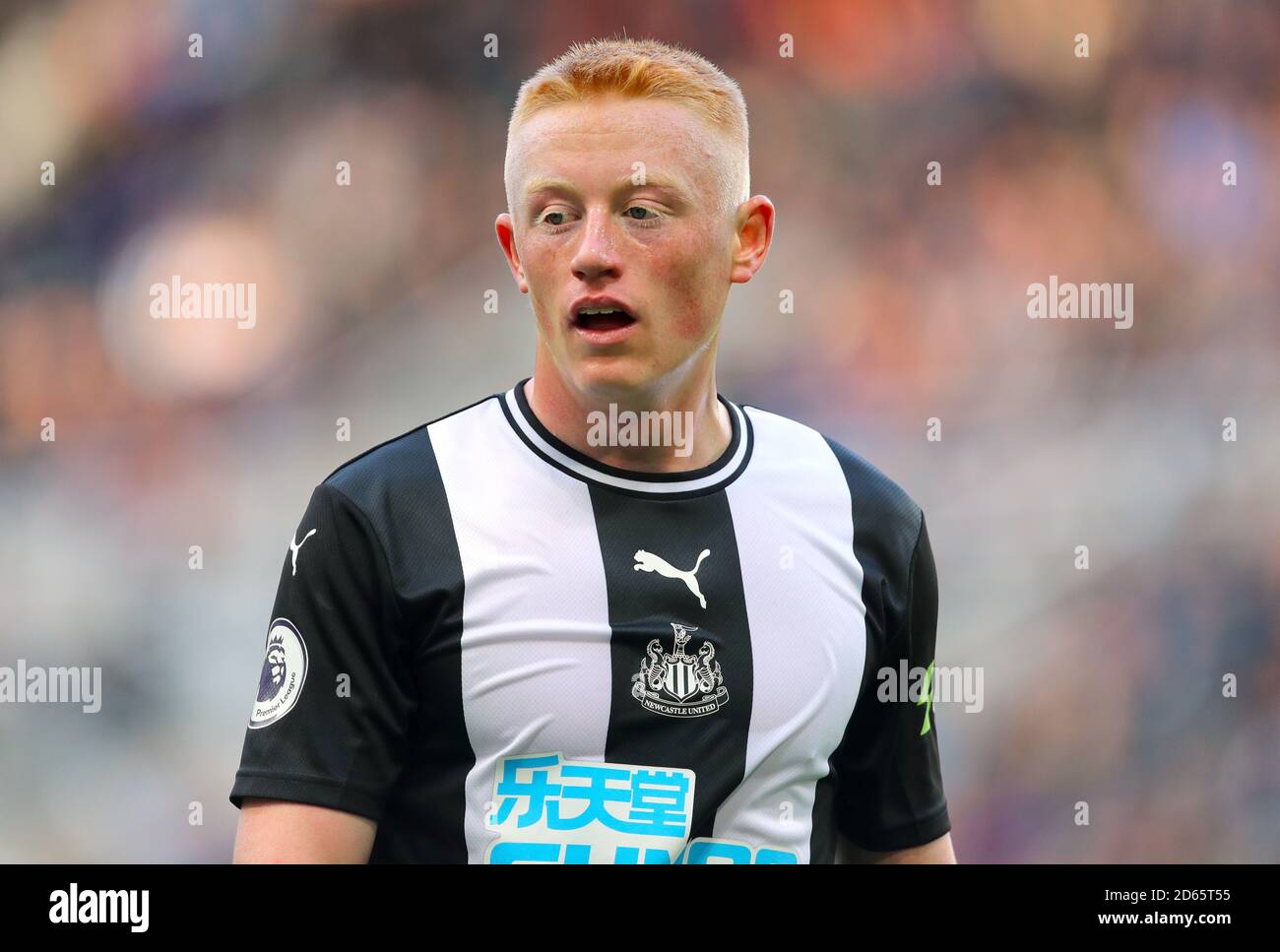 Newcastle United's Matthew Longstaff Stock Photo - Alamy