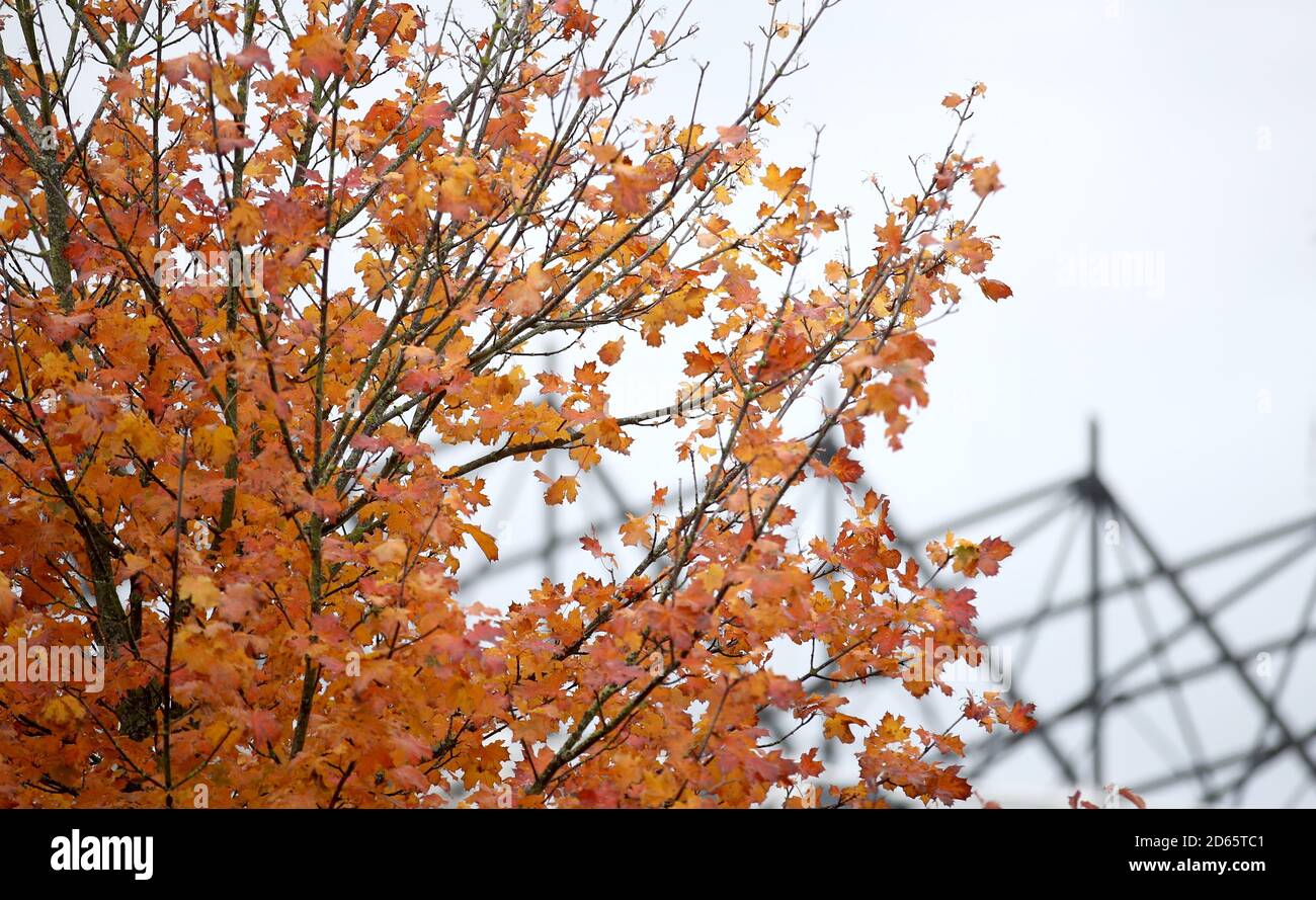 Autumn leaves in front of Pride Park before kick-off Stock Photo - Alamy