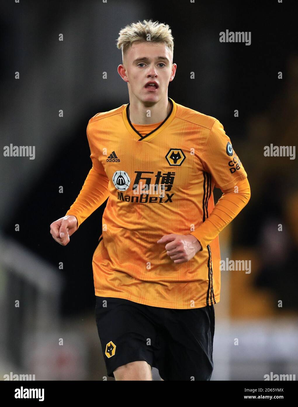 Taylor Perry, Wolverhampton Wanderers Stock Photo - Alamy