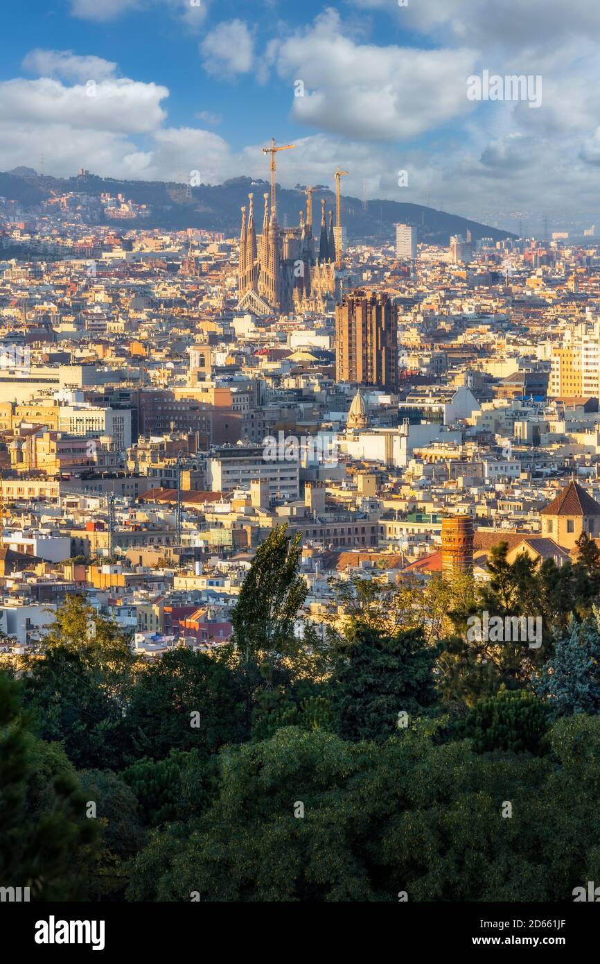 Vertical landscape of famous city Barcelona in Spain Stock Photo - Alamy