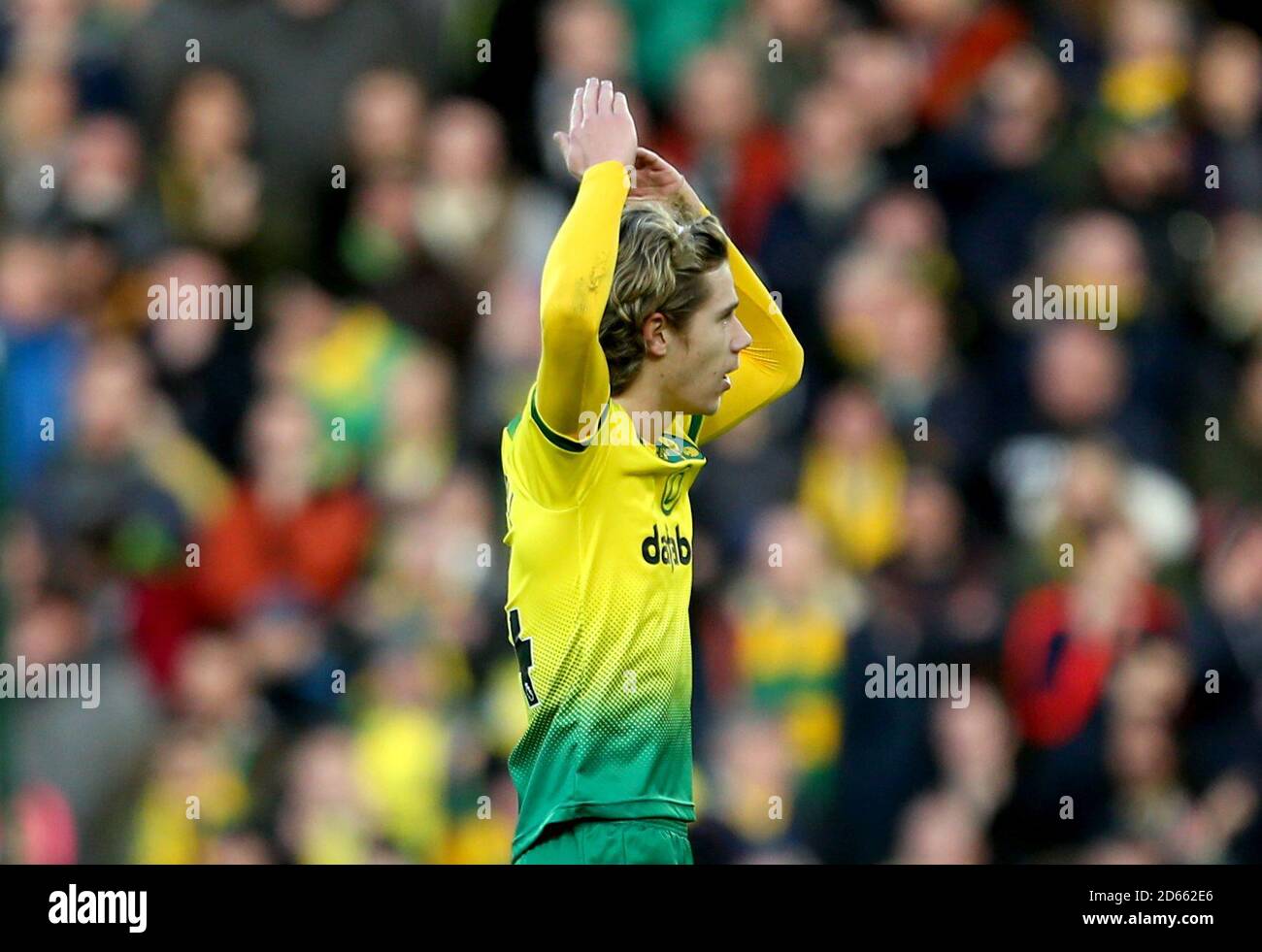 Norwich citys todd cantwell celebrates scoring hi-res stock photography ...