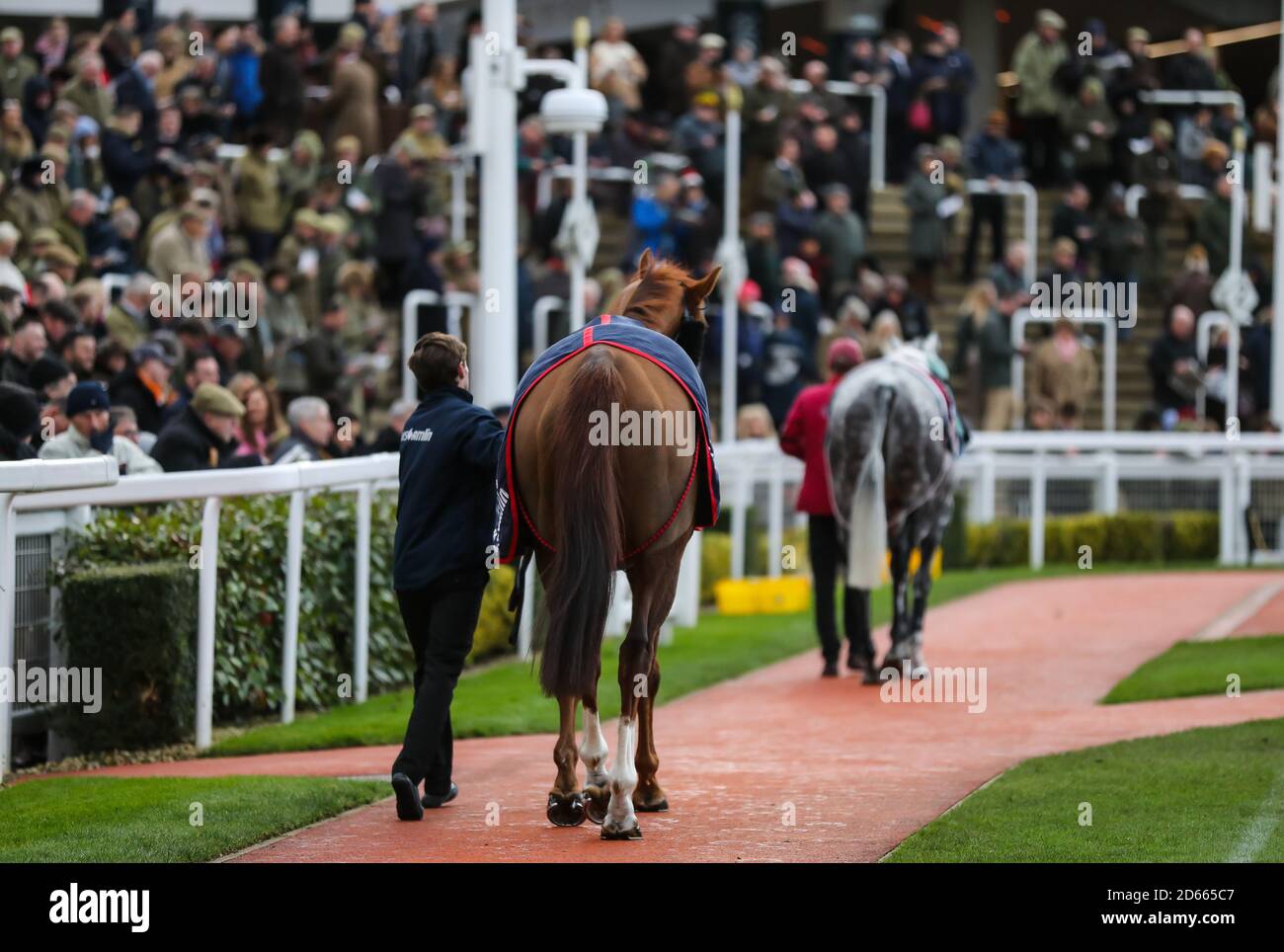 Horses in the parade ring during day one of The International Meeting ...