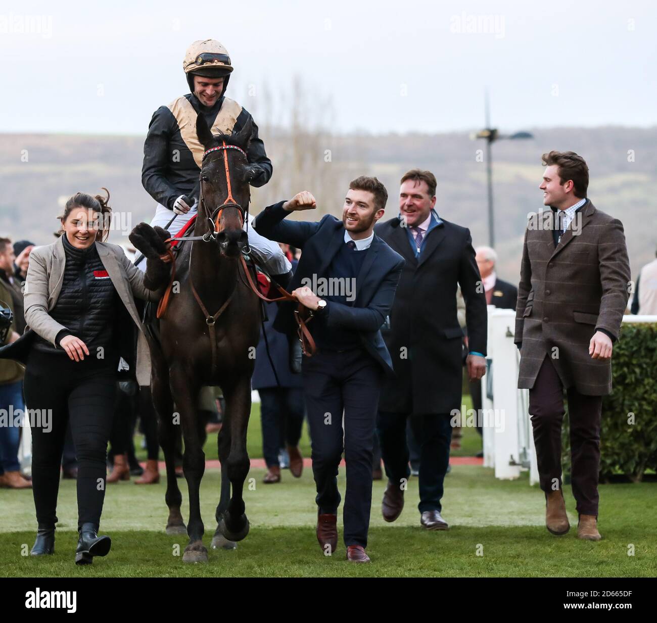 Easysland horse hi-res stock photography and images - Alamy