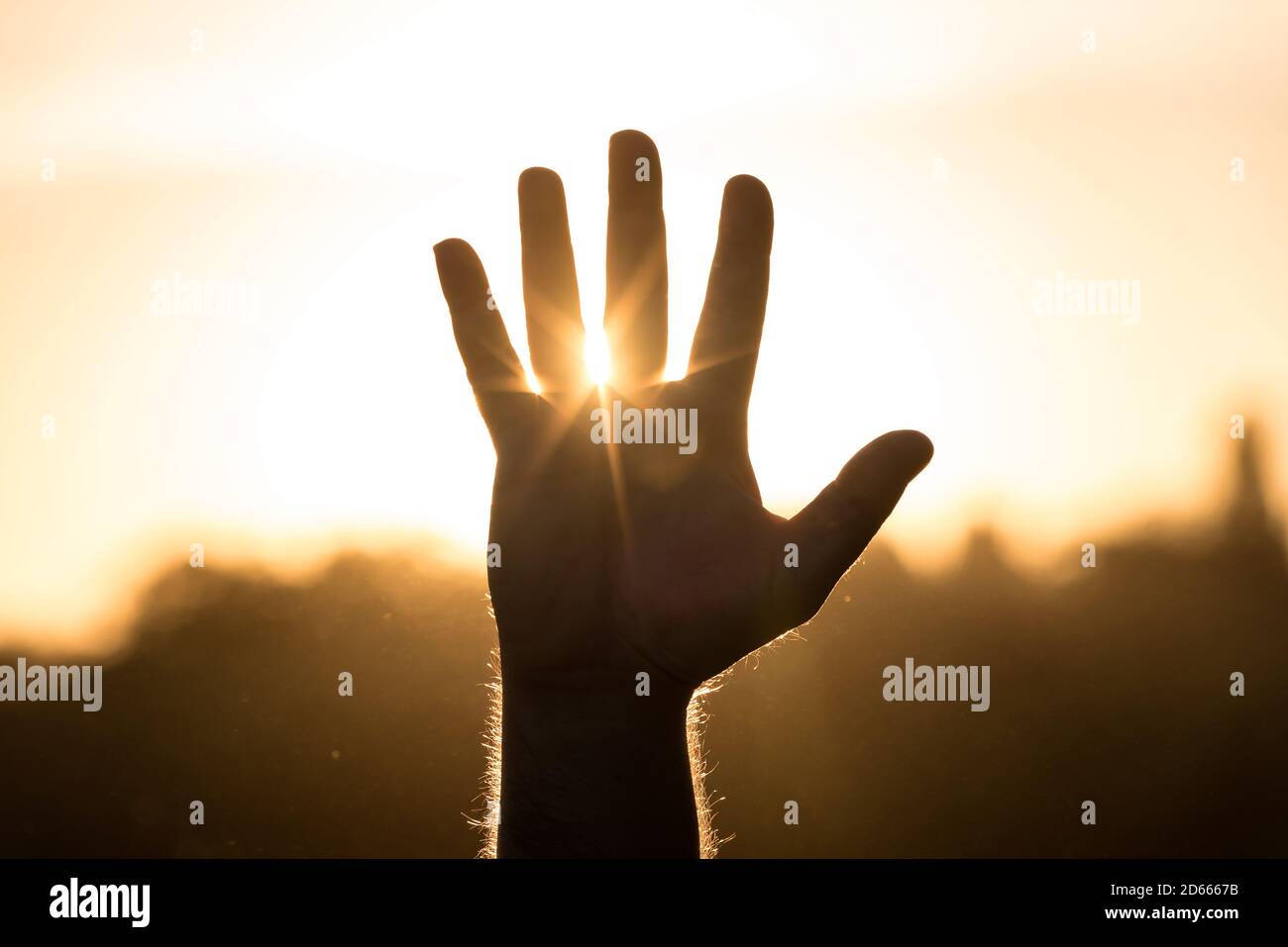 Sunset sun rays view through the fingers of an open hand with copy ...
