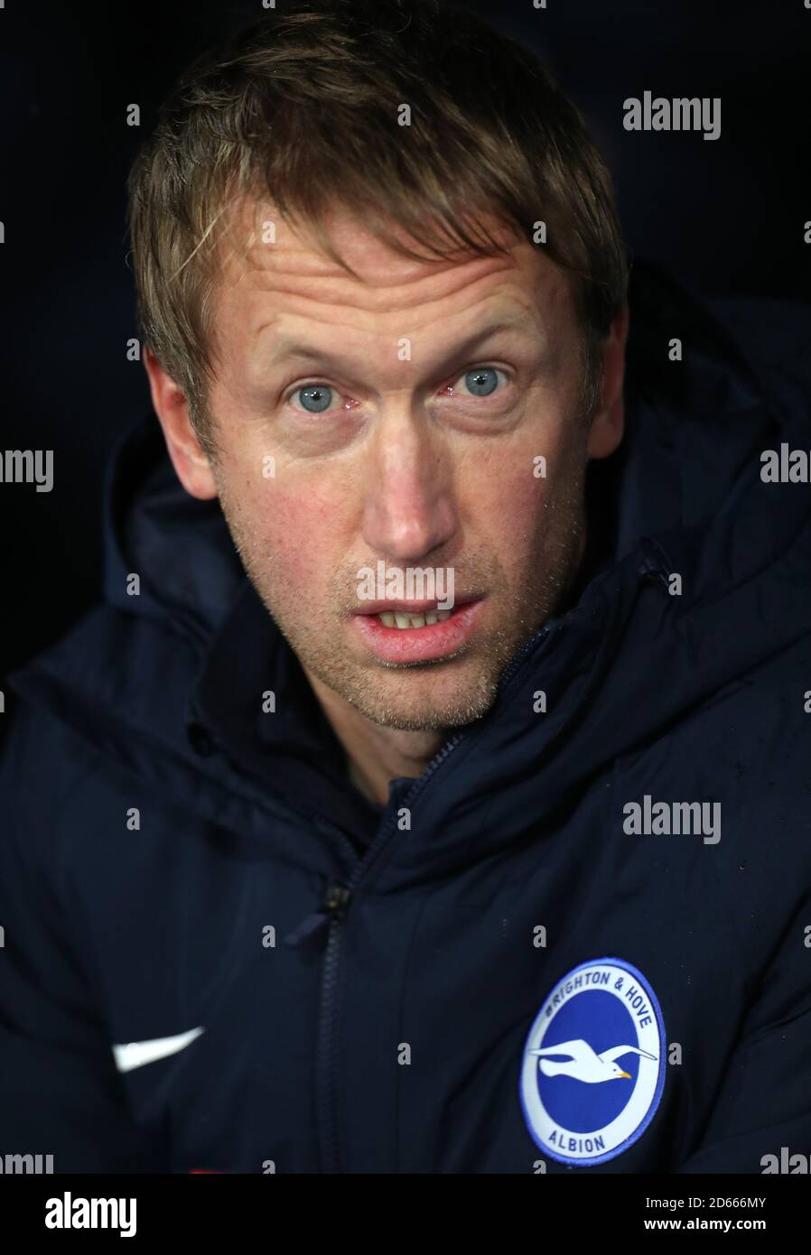 Brighton and Hove Albion manager Graham Potter Stock Photo - Alamy