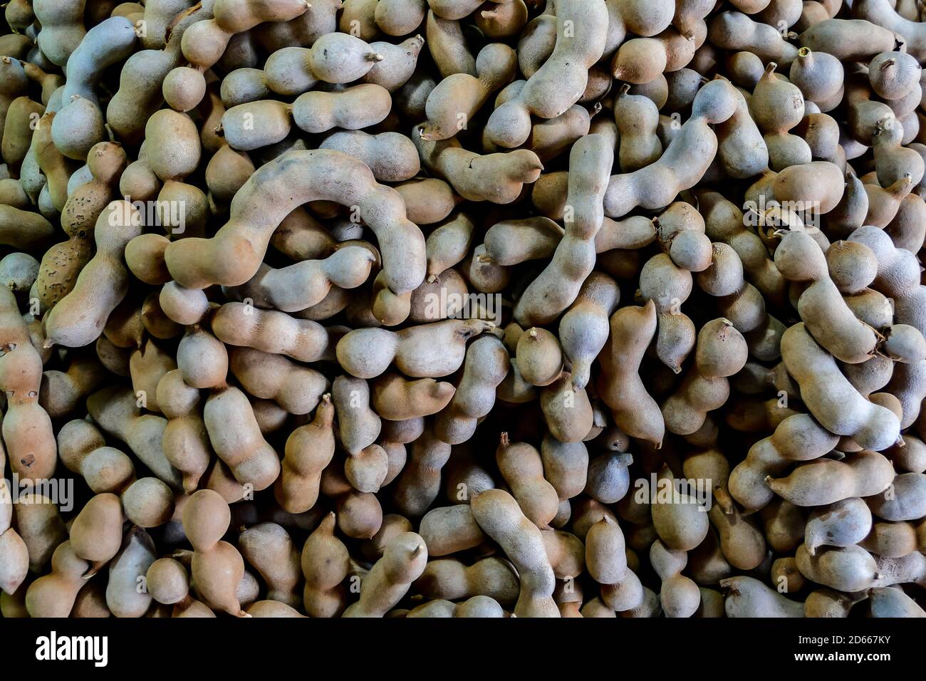 background of beans, digital photo picture as a background Stock Photo ...