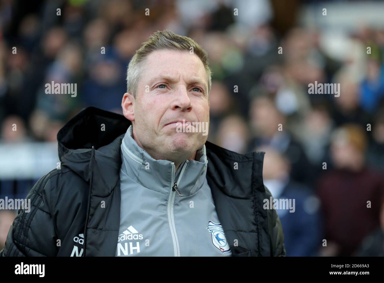 Cardiff City manager Neil Harris Stock Photo - Alamy