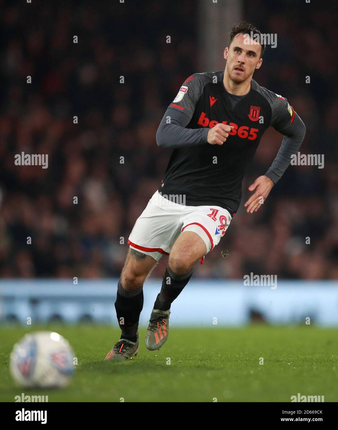 Stoke City's Lee Gregory Stock Photo - Alamy