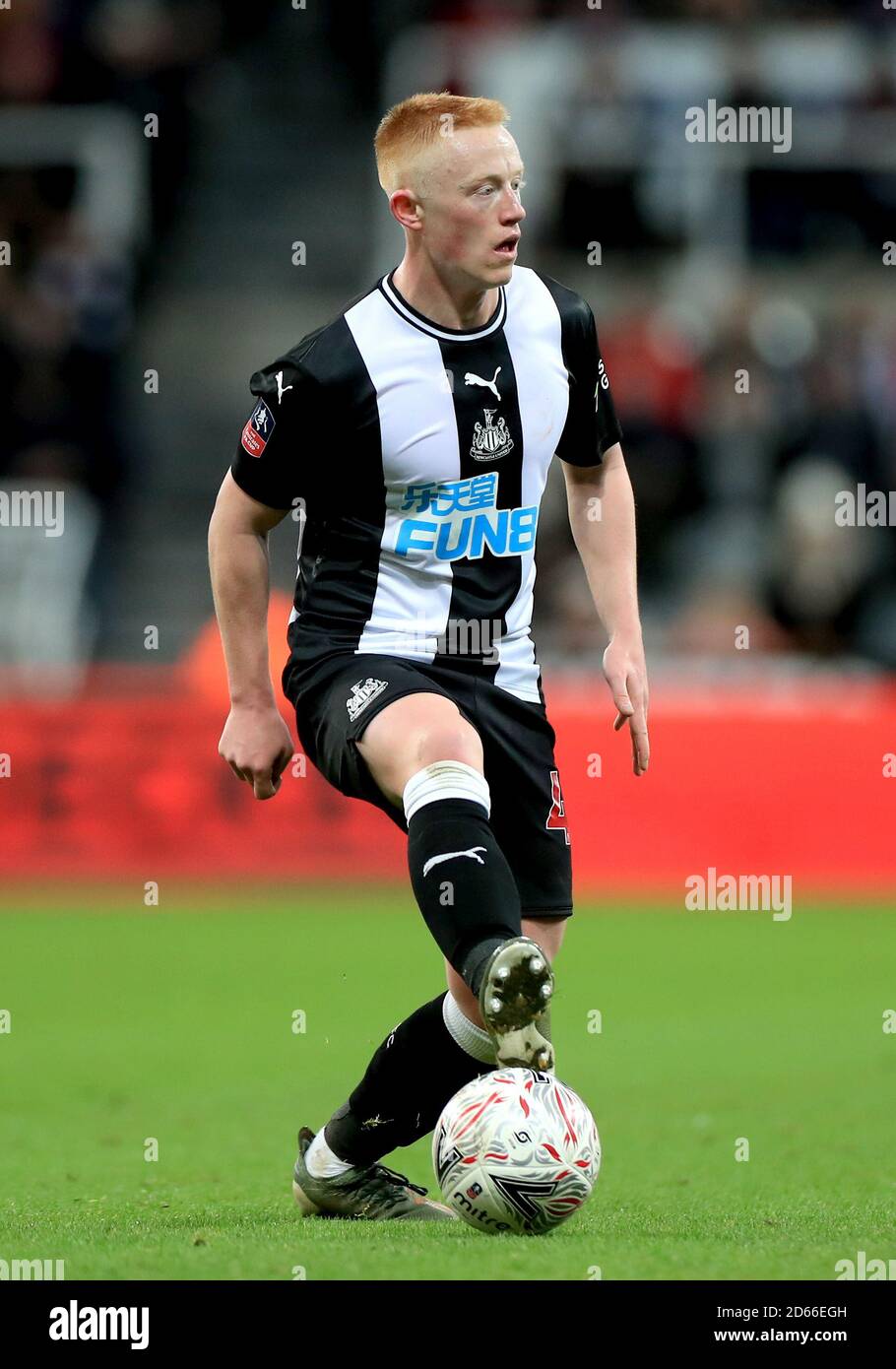 Newcastle United's Matty Longstaff Stock Photo - Alamy
