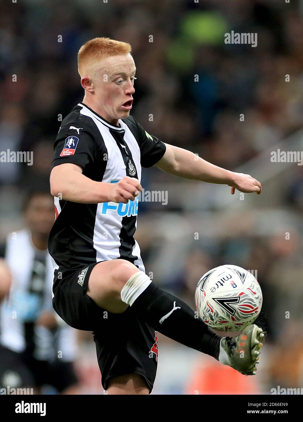 Newcastle United's Matty Longstaff Stock Photo - Alamy