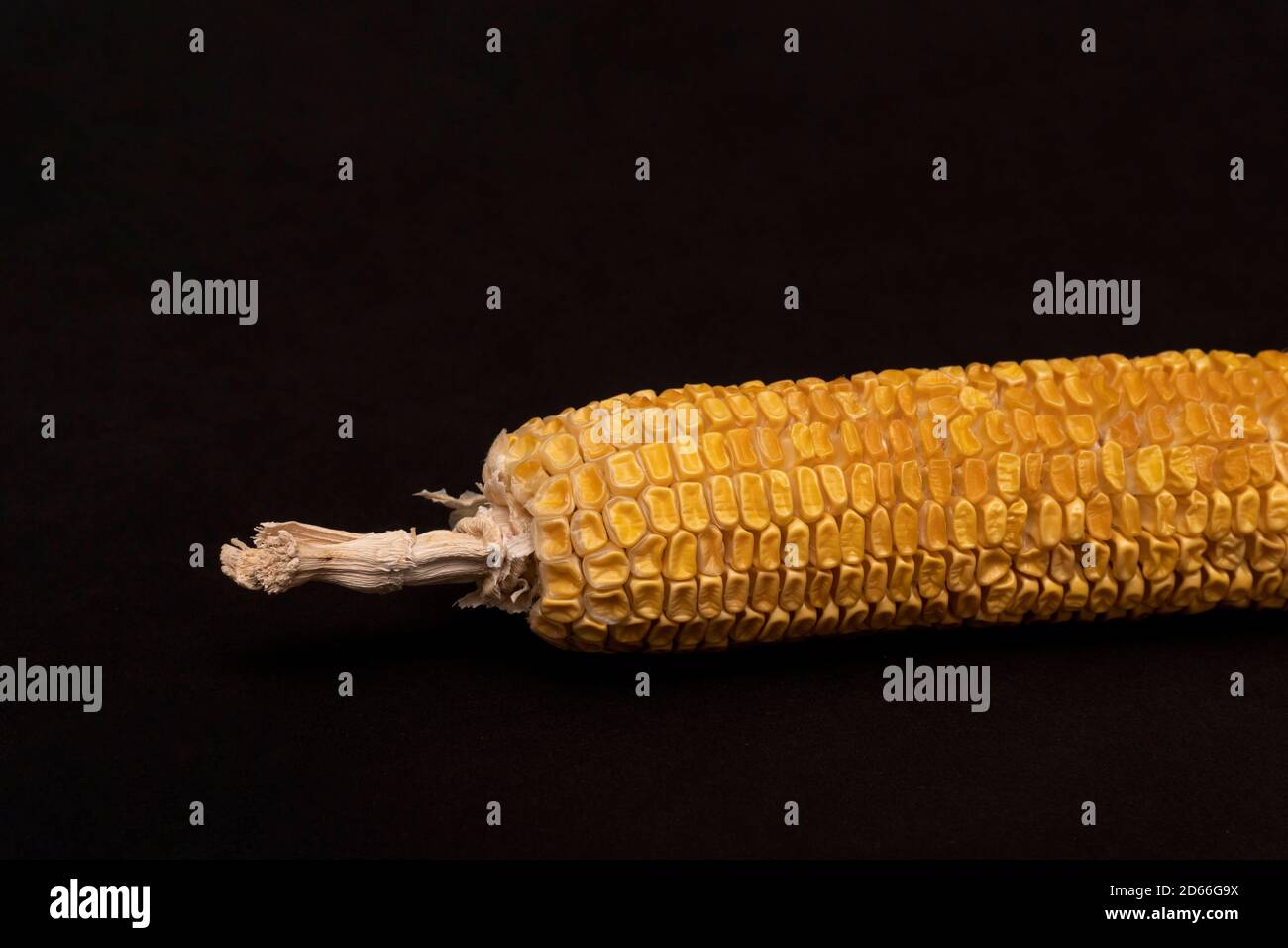 Moldy dried yellow corn at black bacground Stock Photo - Alamy