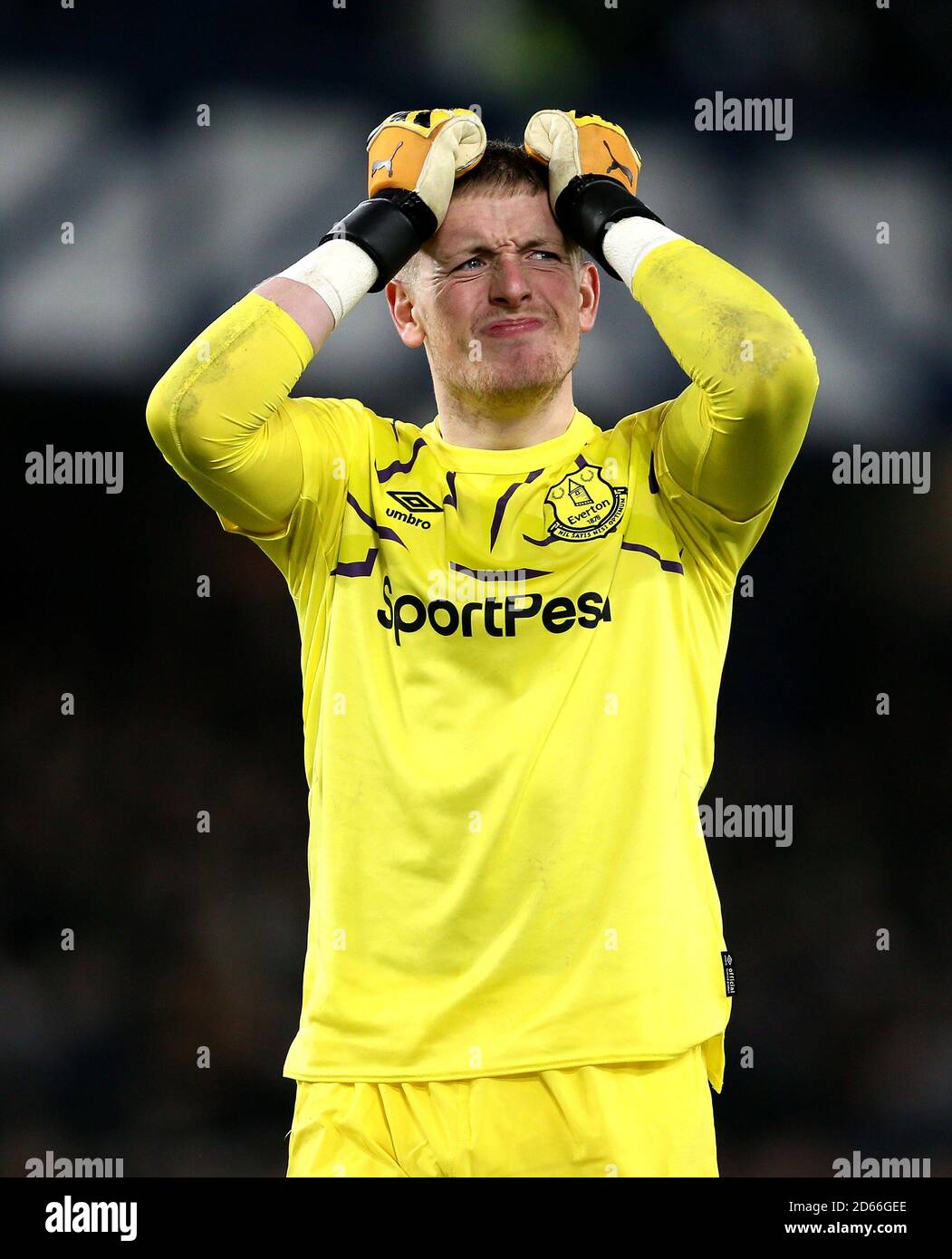 Everton goalkeeper Jordan Pickford reacts Stock Photo - Alamy