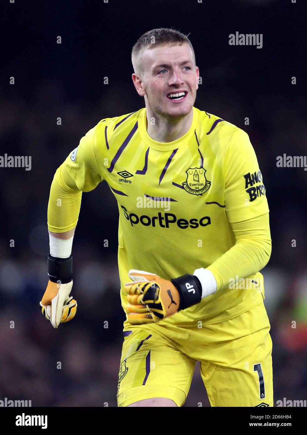 Everton goalkeeper Jordan Pickford Stock Photo - Alamy