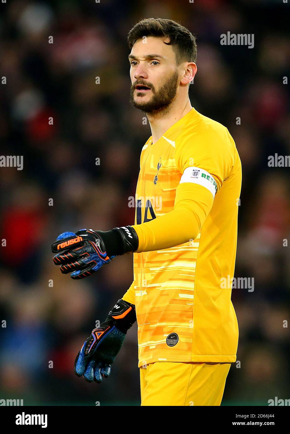 Tottenham Hotspur Goalkeeper Hugo Lloris Stock Photo - Alamy