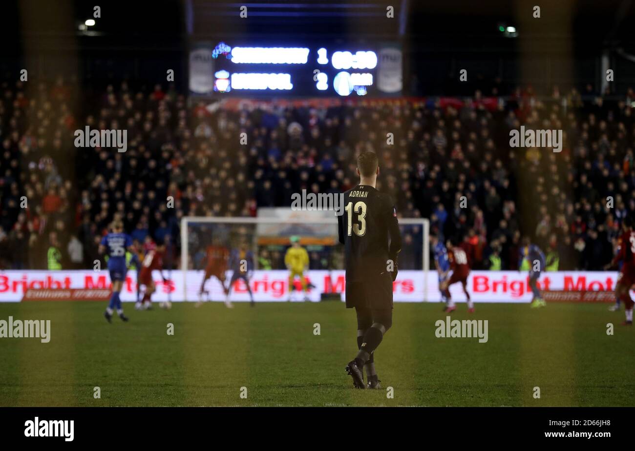 Liverpool's goalkeeper Adrian looks on Stock Photo - Alamy