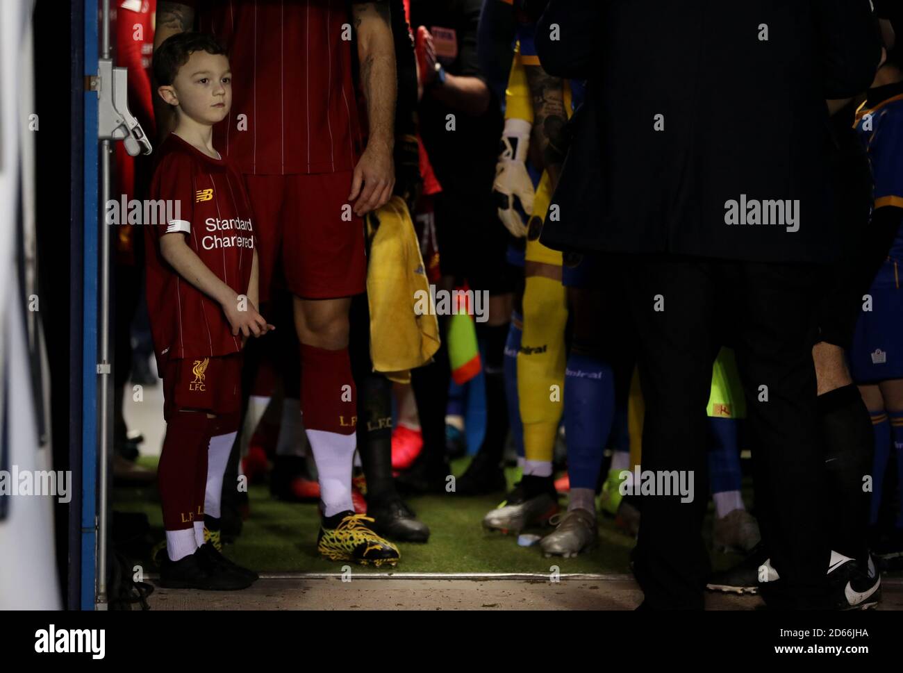 A Liverpool mascot ahead of kick-off Stock Photo - Alamy