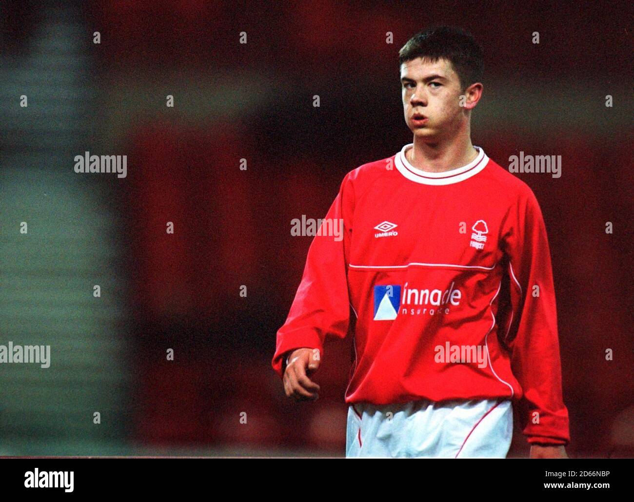 Andy haskins hi-res stock photography and images - Alamy