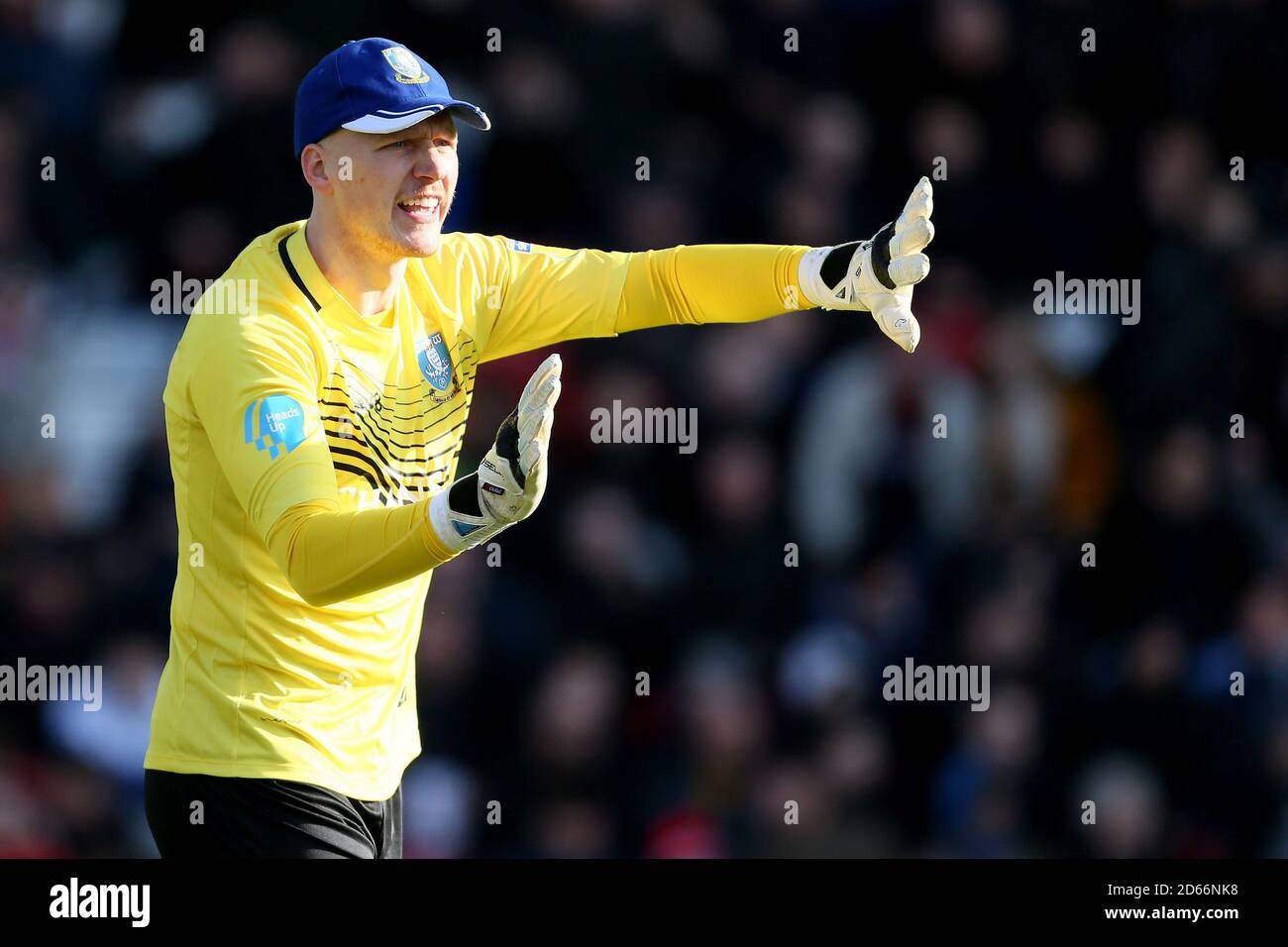 Sheffield Wednesday goalkeeper Cameron Dawson Stock Photo - Alamy