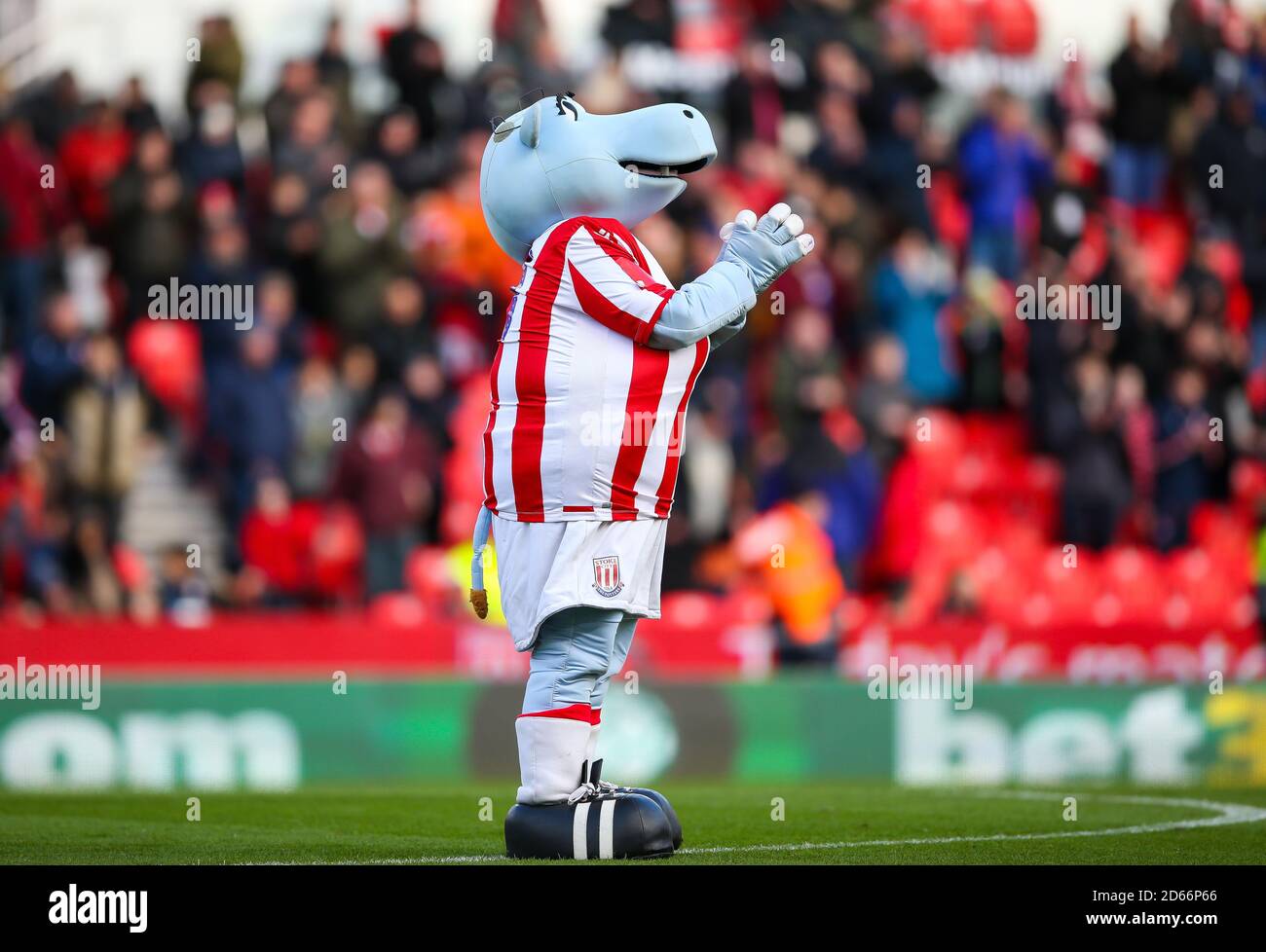 Pottermus hi-res stock photography and images - Alamy