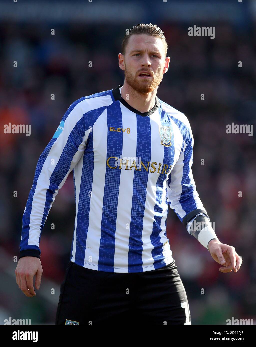 Sheffield Wednesday's Connor Wickham Stock Photo - Alamy