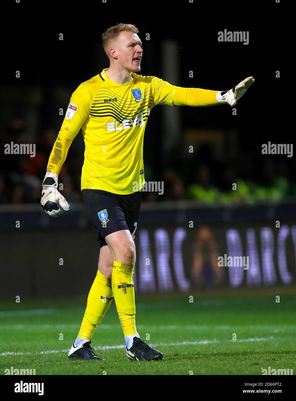 Sheffield Wednesday goalkeeper Cameron Dawson Stock Photo - Alamy