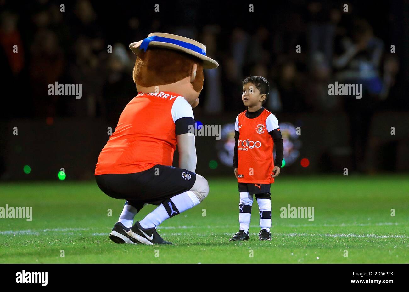 Luton town mascot happy harry hi-res stock photography and images - Alamy