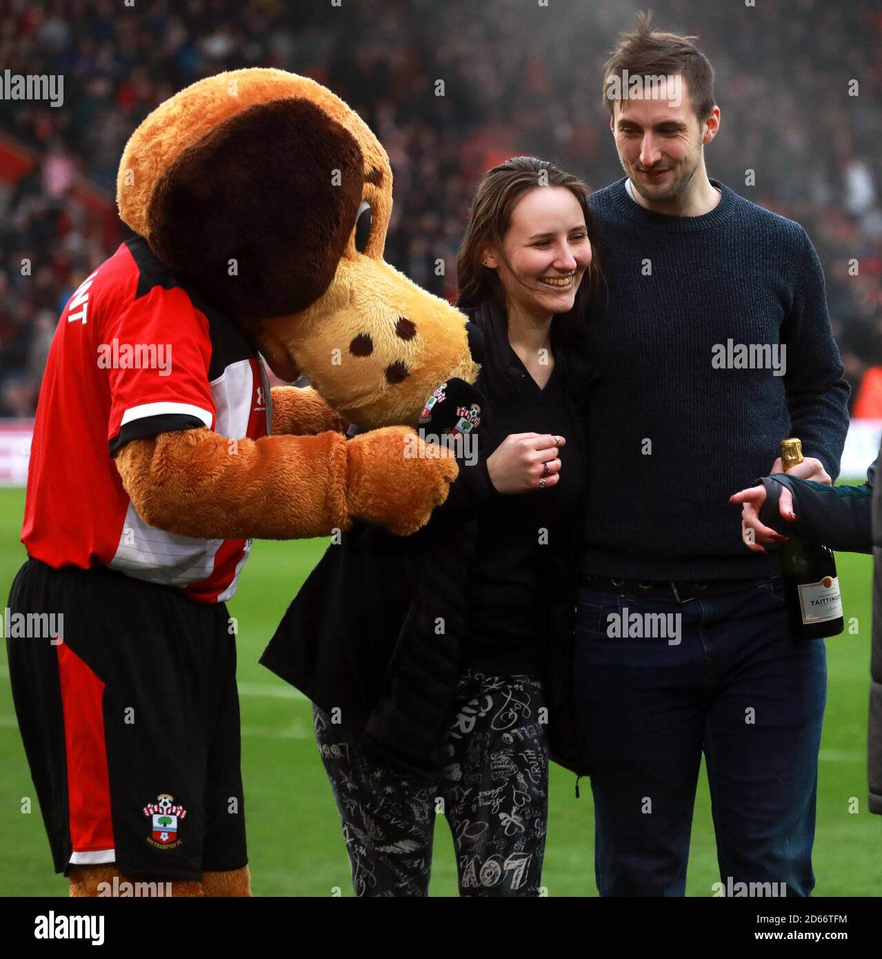 Southampton mascot Sammy Saint with fans after their proposal on the ...