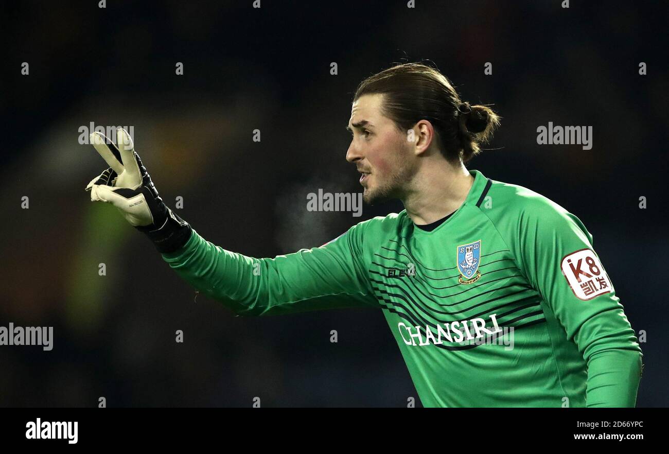 Wildsmith hi-res stock photography and images - Alamy