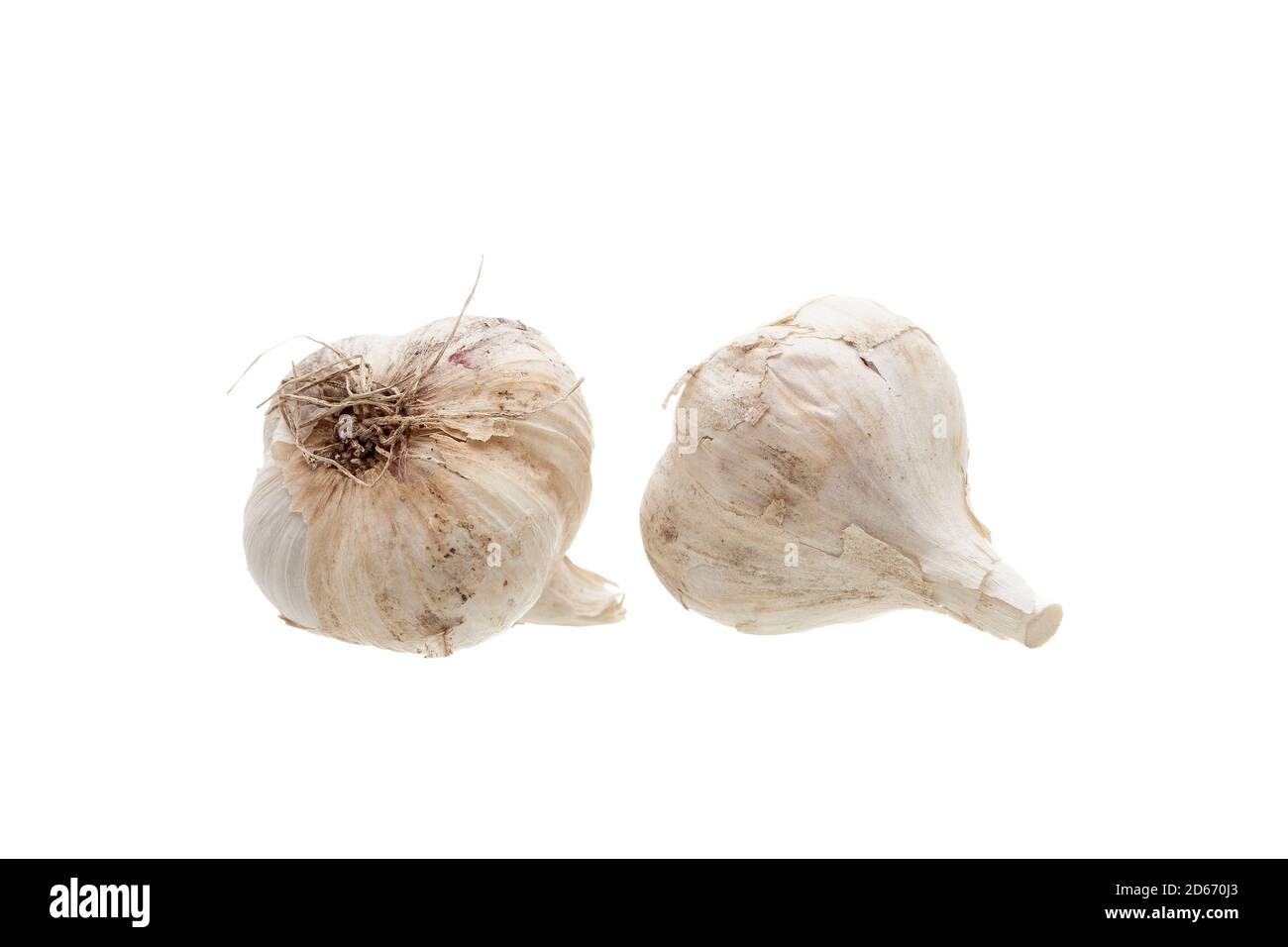 Two garlics hi-res stock photography and images - Alamy