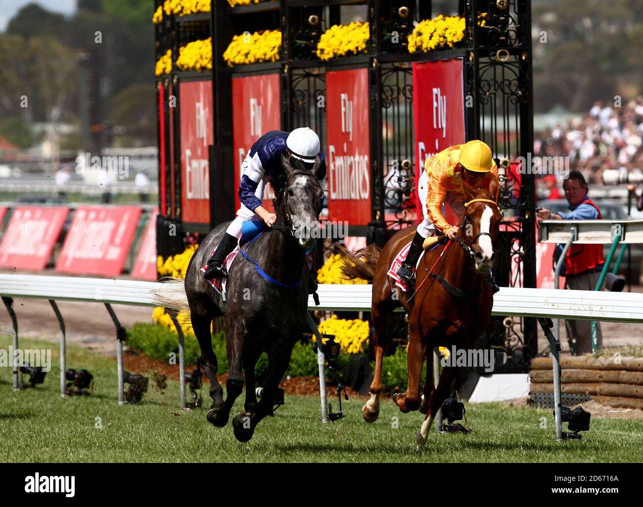 Damien oliver melbourne cup hi-res stock photography and images - Alamy