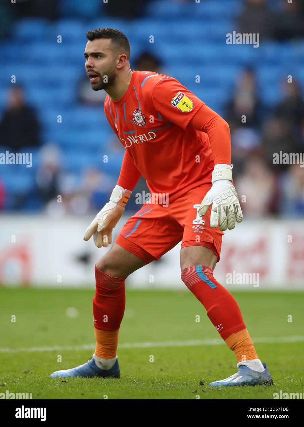 Brentford goalkeeper David Raya Martin Stock Photo - Alamy