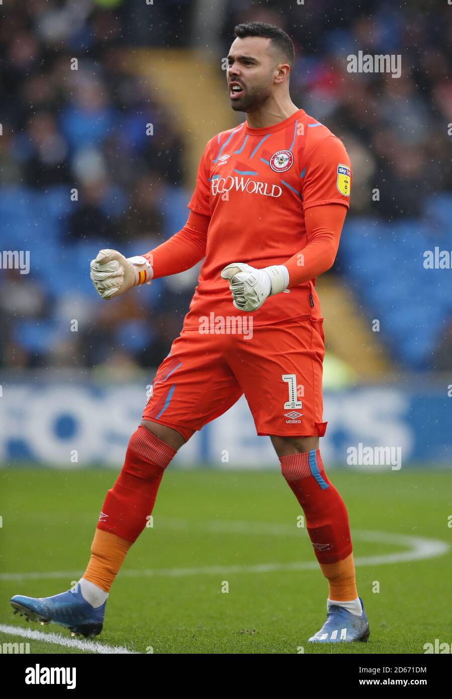 Brentford goalkeeper David Raya Martin Stock Photo - Alamy
