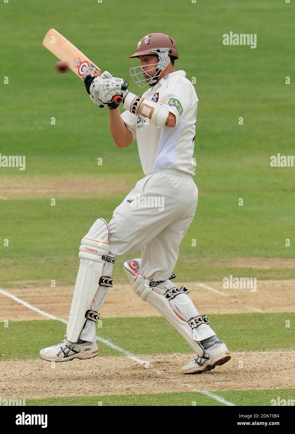 Matthew Nicholson, Surrey Stock Photo - Alamy