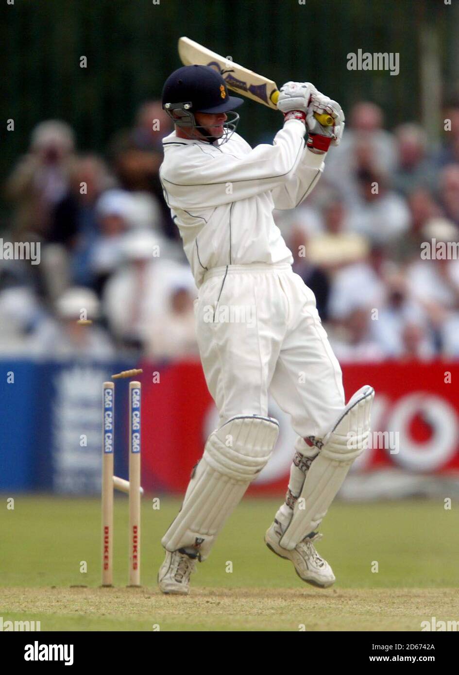 Jimmy the cricket hi-res stock photography and images - Alamy