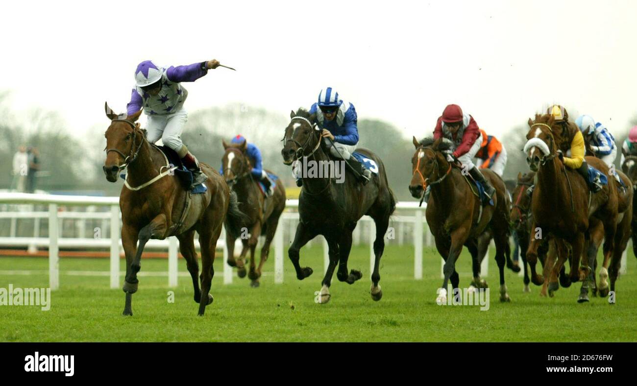 Scott's View (S. Chin) wins The Magnolia Stakes at Kempton beating 2nd ...