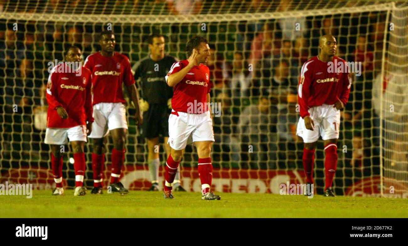 Paul evans forest hi-res stock photography and images - Alamy