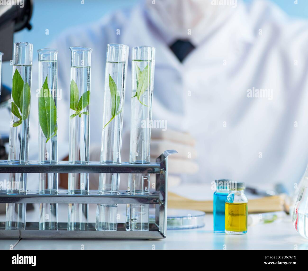 The biotechnology concept with scientist in lab Stock Photo - Alamy