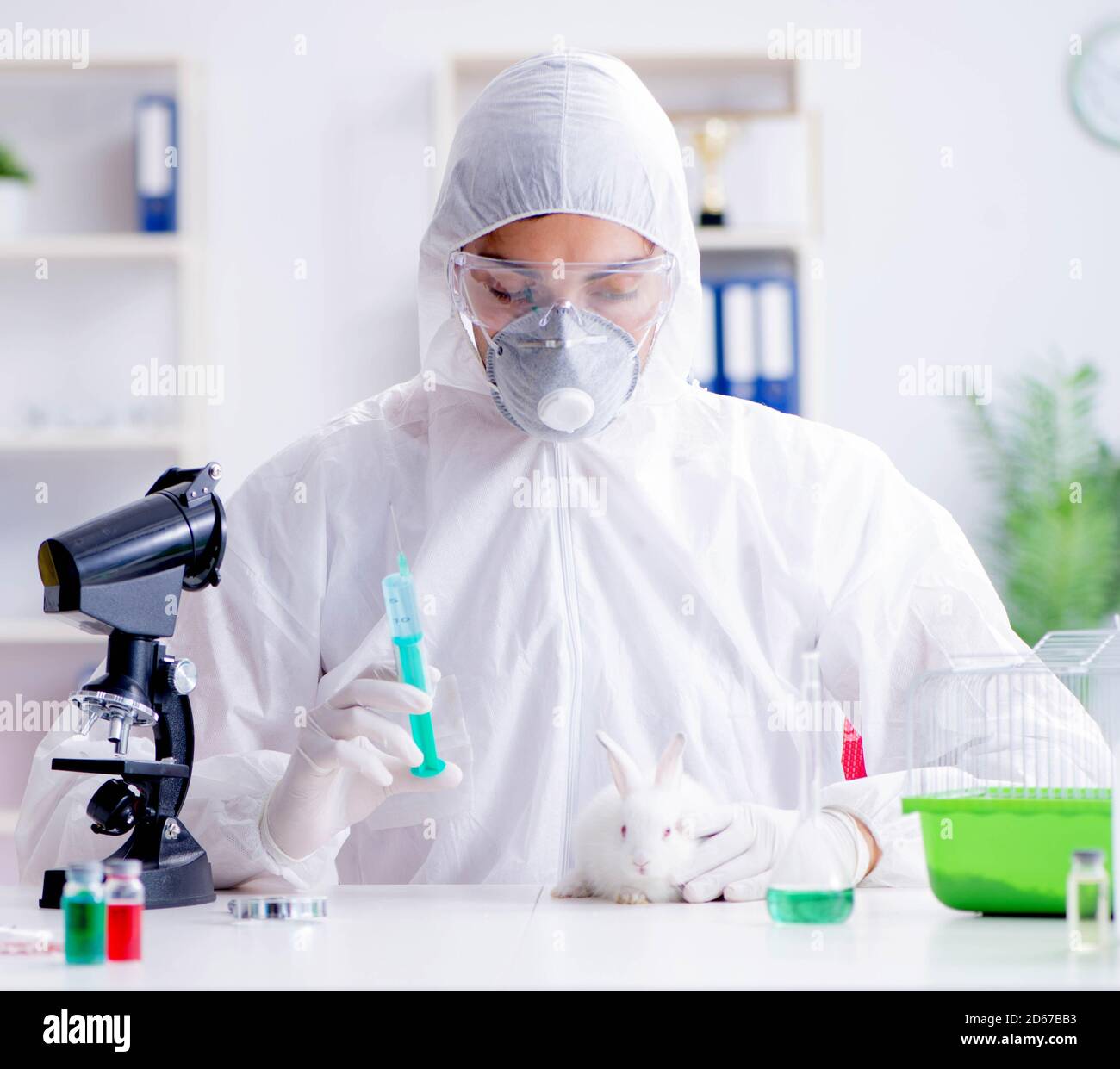 The scientist doing animal experiment in lab with rabbit Stock Photo ...