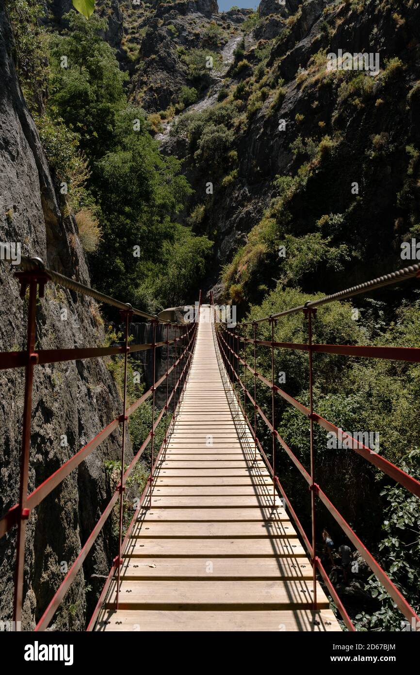 Vertical shot wooden bridge pathway hi-res stock photography and images ...