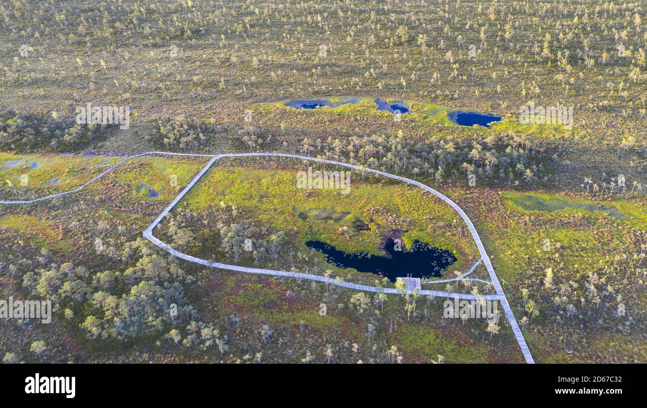 Nature trail around bog lake Stock Photo - Alamy