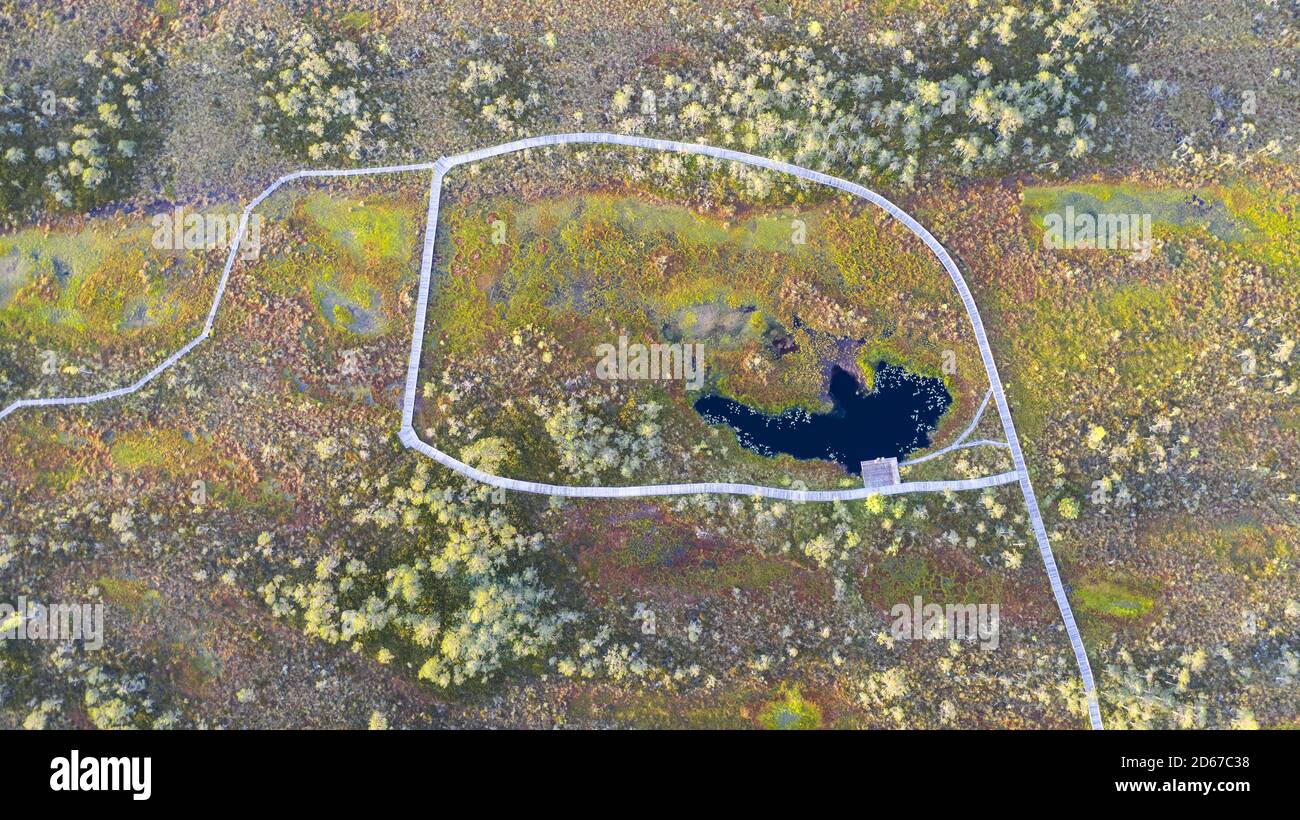 Nature trail around bog lake Stock Photo - Alamy