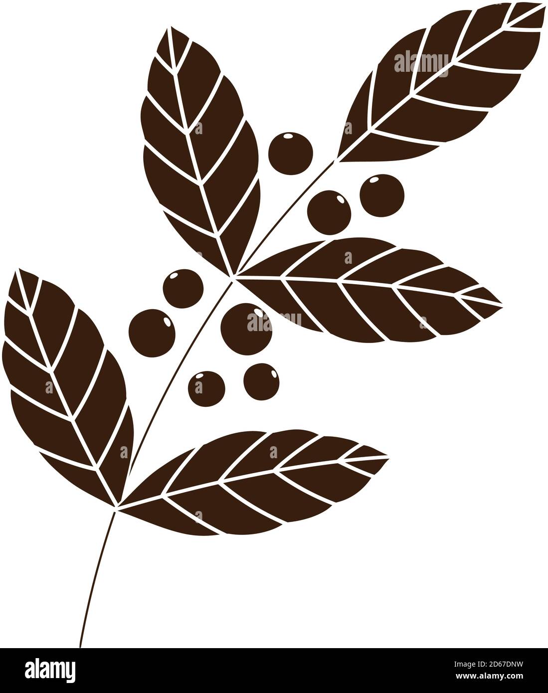coffee seeds branch foliage nature vector illustration silhouette icon ...