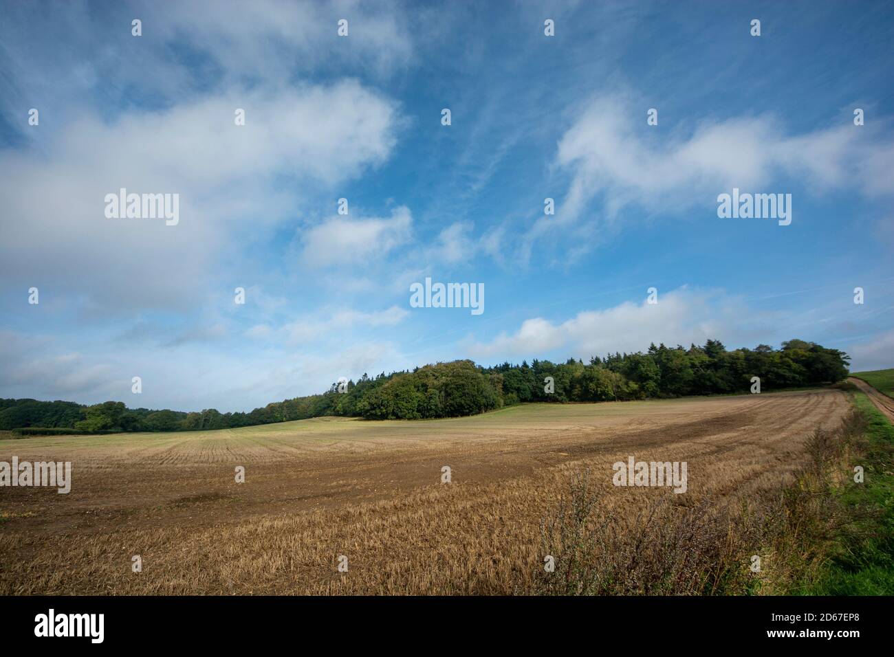 Farmland, sand, sandy soil, Norfolk Stock Photo - Alamy