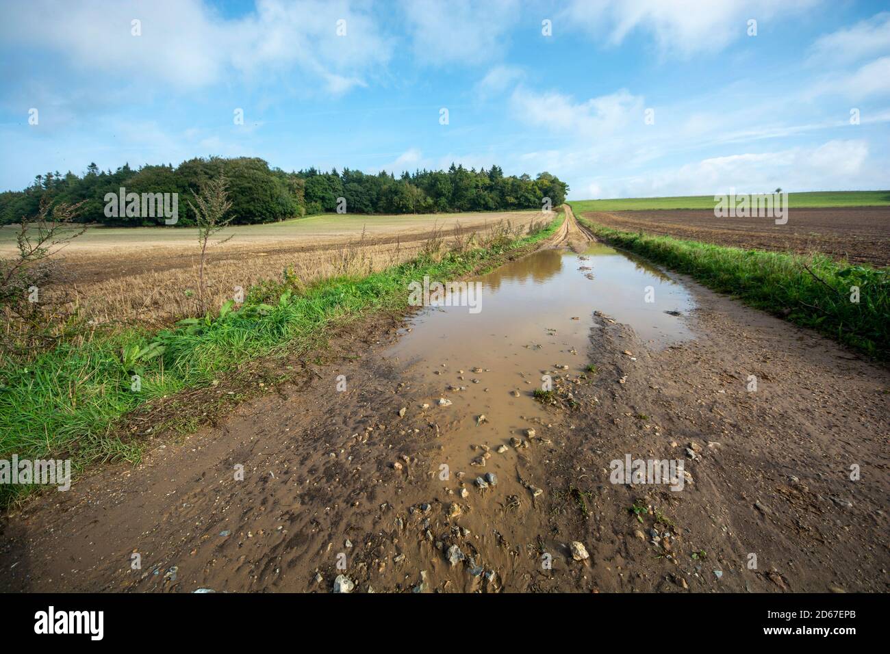 Farmland, sand, sandy soil, Norfolk Stock Photo - Alamy